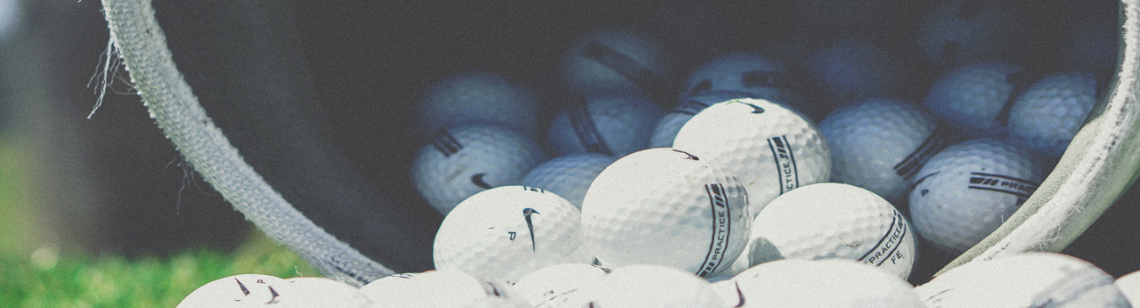 Biografie Richard Eccles | Eccles Golf Academy